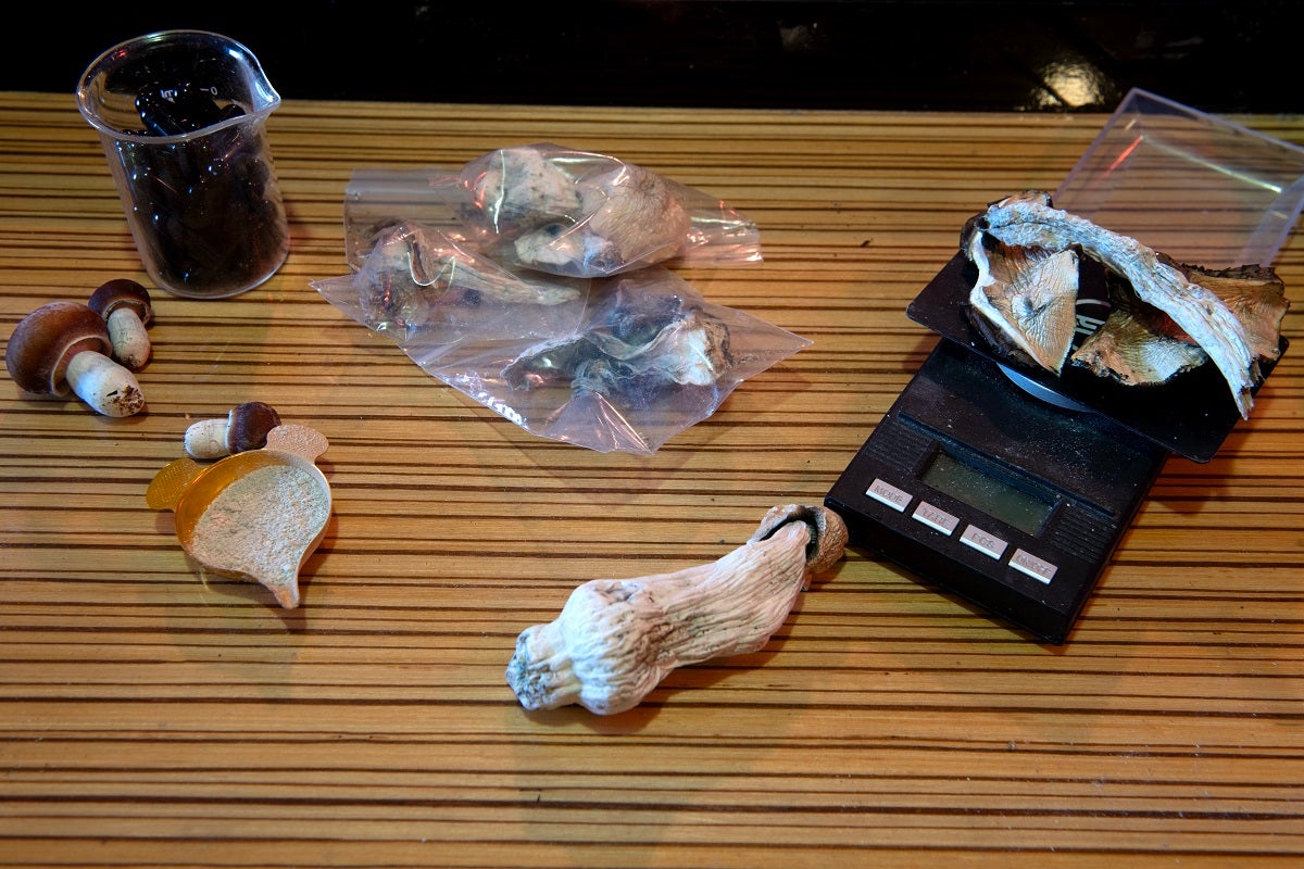 Evidence Grows That Tripping on Shrooms Might Increase Your Lifespan