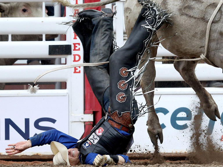 Calgary Stampede, in photos: Favourite moments from the rodeo and ...