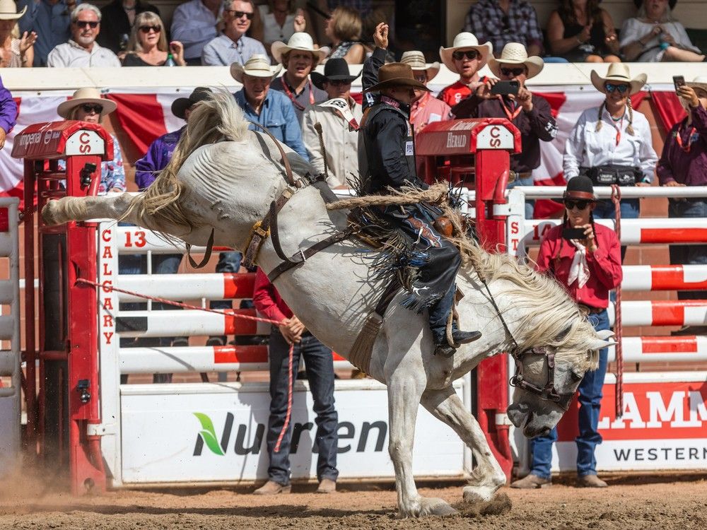 Final day at the Calgary Stampede rodeo: Champions crowned, three ...
