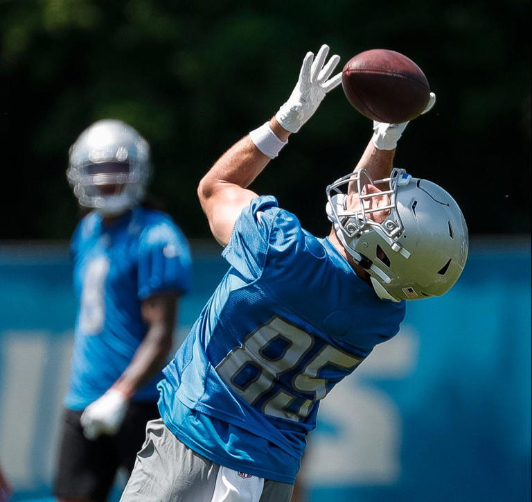 Top candidates to be the Detroit Lions' training camp and preseason fan ...