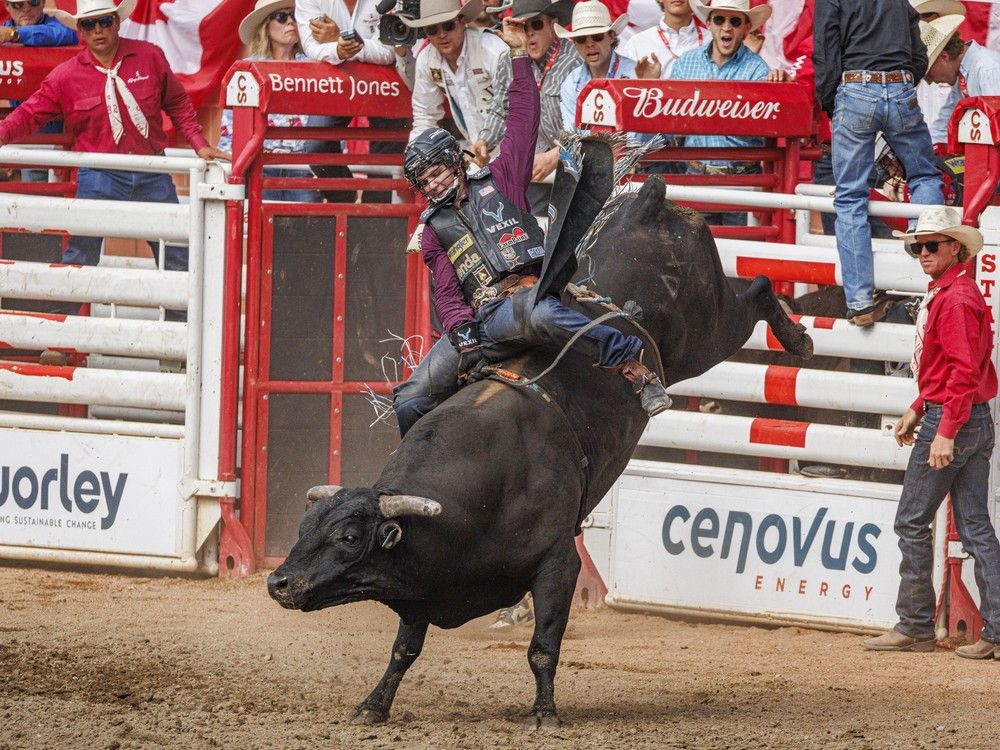 Final day at the Calgary Stampede rodeo: Champions crowned, three ...
