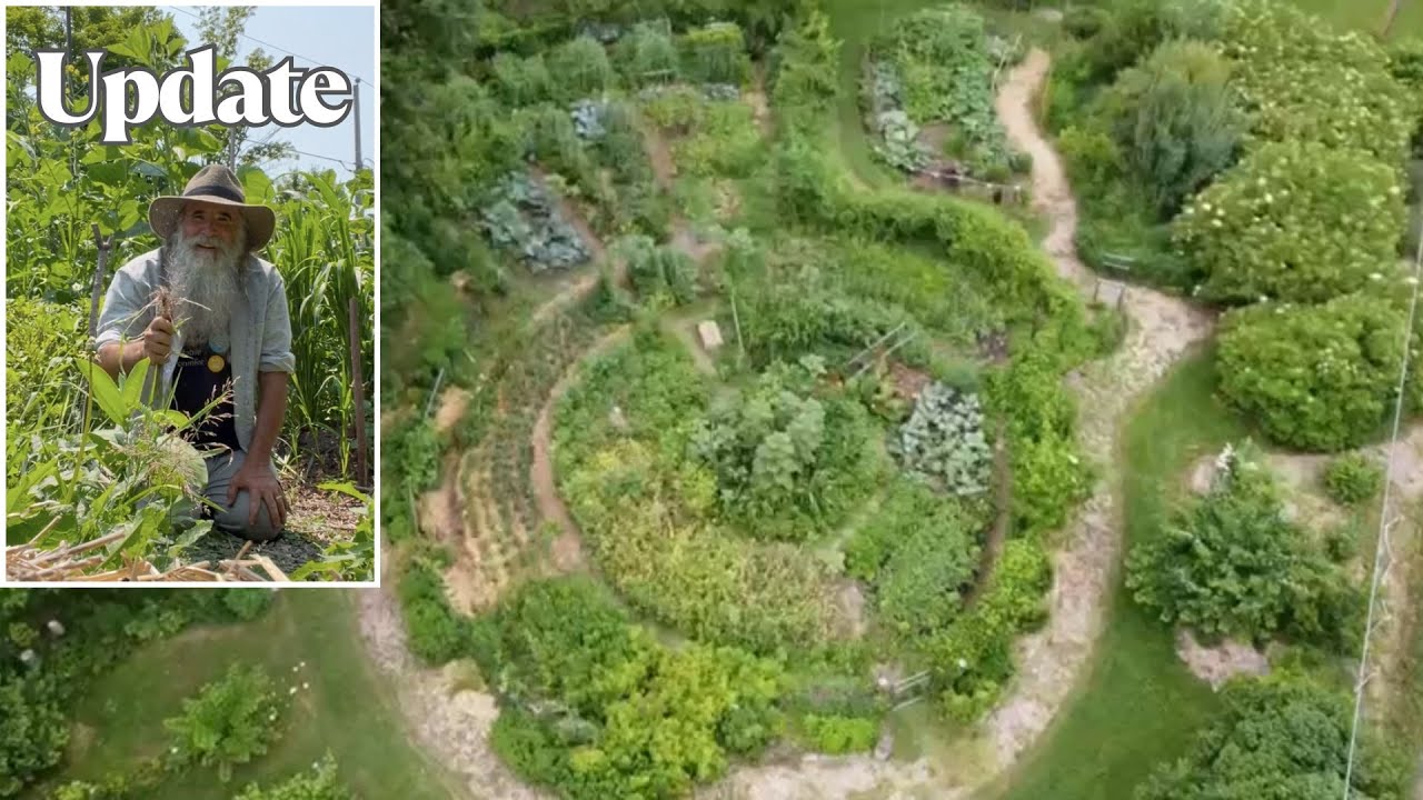 July Garden Update!: A Year’s Worth of Food, Multiple Experiments ...