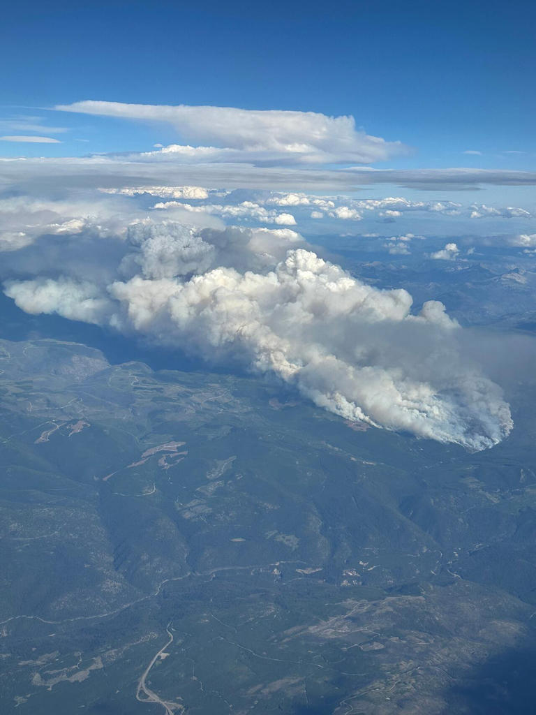 Wildfire near Princeton, B.C., prompts evacuation order for dozens of ...