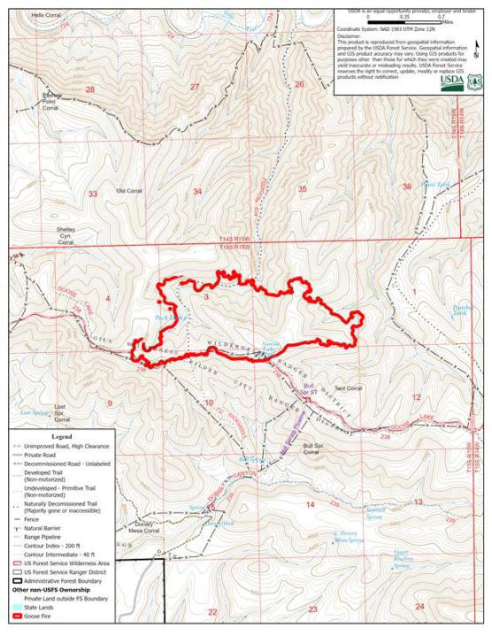 Goose Fire near Silver City now at 711 acres, 0% containment