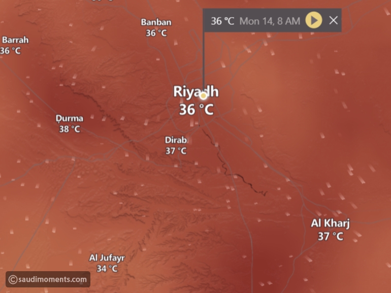 Blazing Sun with High of 43°C: Riyadh Weather, July 14