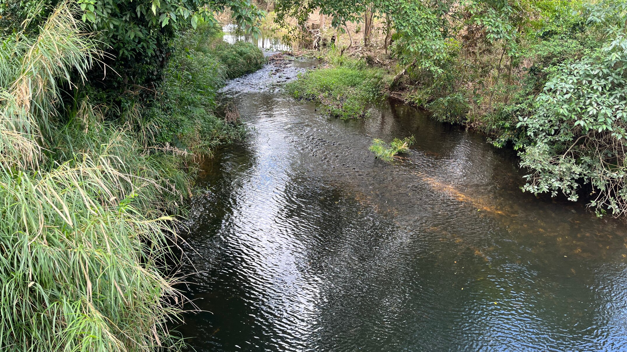 Court says community's anxiety over Dittmer gold mine expansion ...