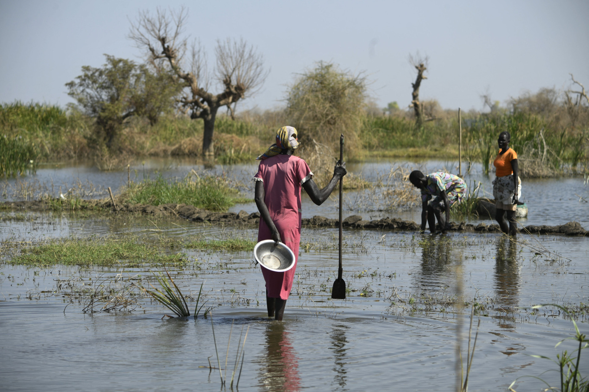 Zware regen in de Sahara verandert het landschap