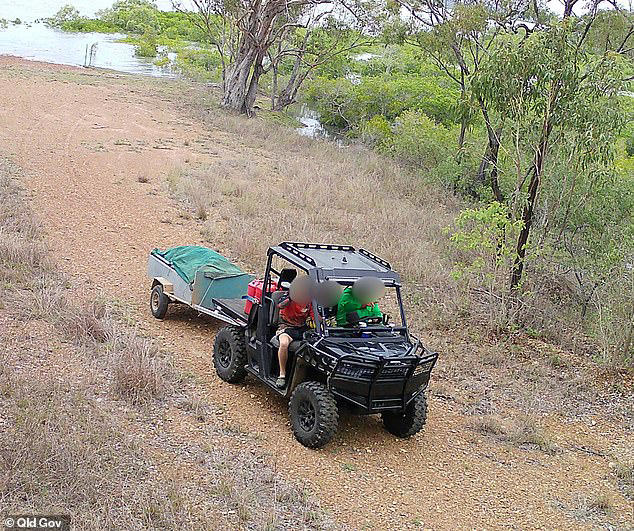 It was good while it lasted! Group of friends busted building a cabin ...
