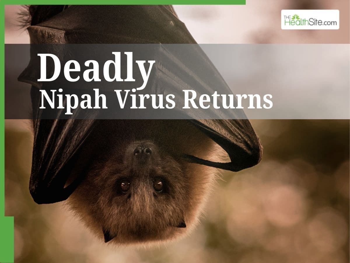 Nipah Virus Alert In West Bengal LIVE Updates: Active Toll Reaches 5 ...
