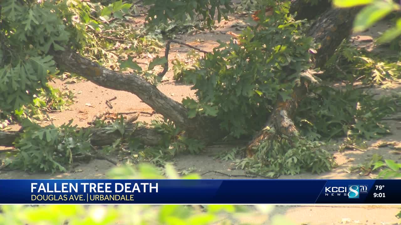 Cyclist killed by falling tree on Urbandale's Timberline Park Trail