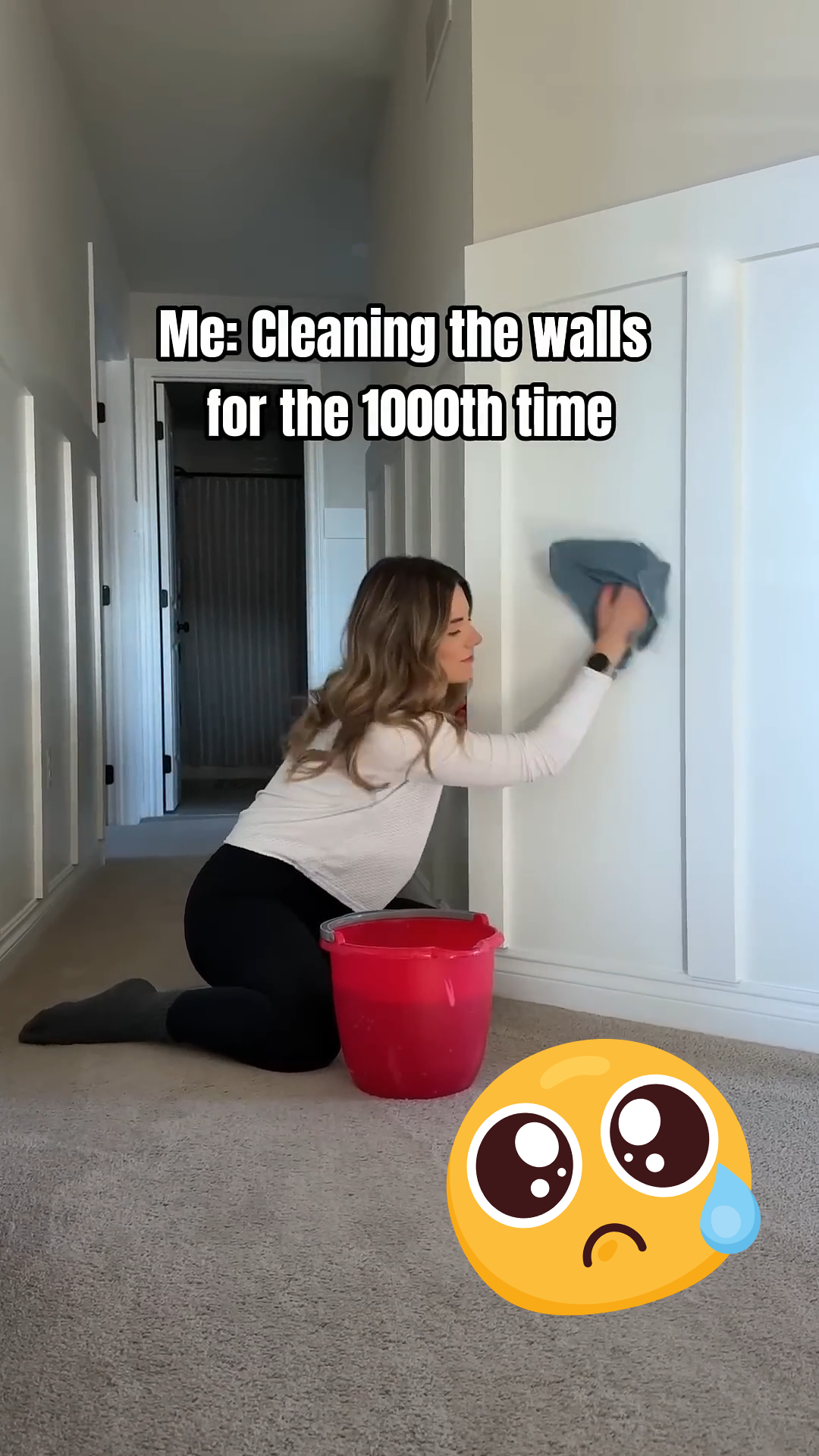 Funny Cleaning Struggles Every Pet Owner Understands 🧼🐾
