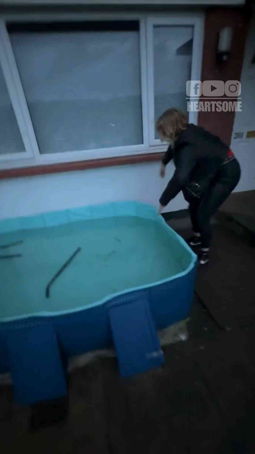 Hilarious Clip of Woman Trying to Prove She Can Ace a Pool Jump While Drunk