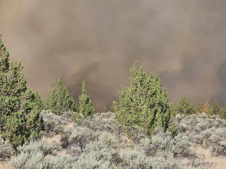 Cram Fire burning northeast of Madras grows to 4,500 acres, 0% contained