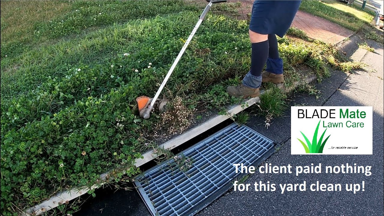 Taming Tall Grass: Australian Front Yard Requires Three-Hour Mowing Effort