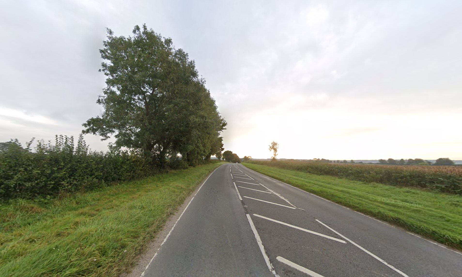 Two teenage boys aged 16 and 17 die after car ploughs into tree