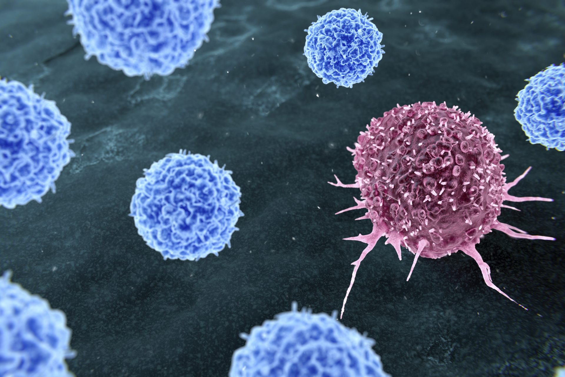 Bats don't get cancer, and researchers finally know why