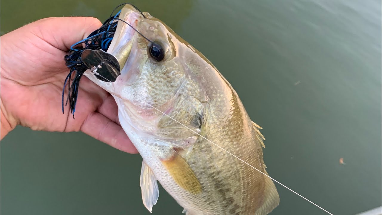 Cold fronts, clear water, and angry bass in Pennsylvania