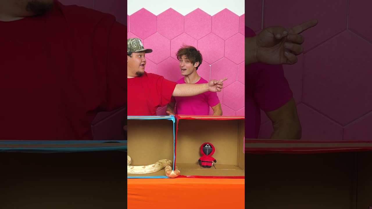 Don’t Pick The Snake Box!