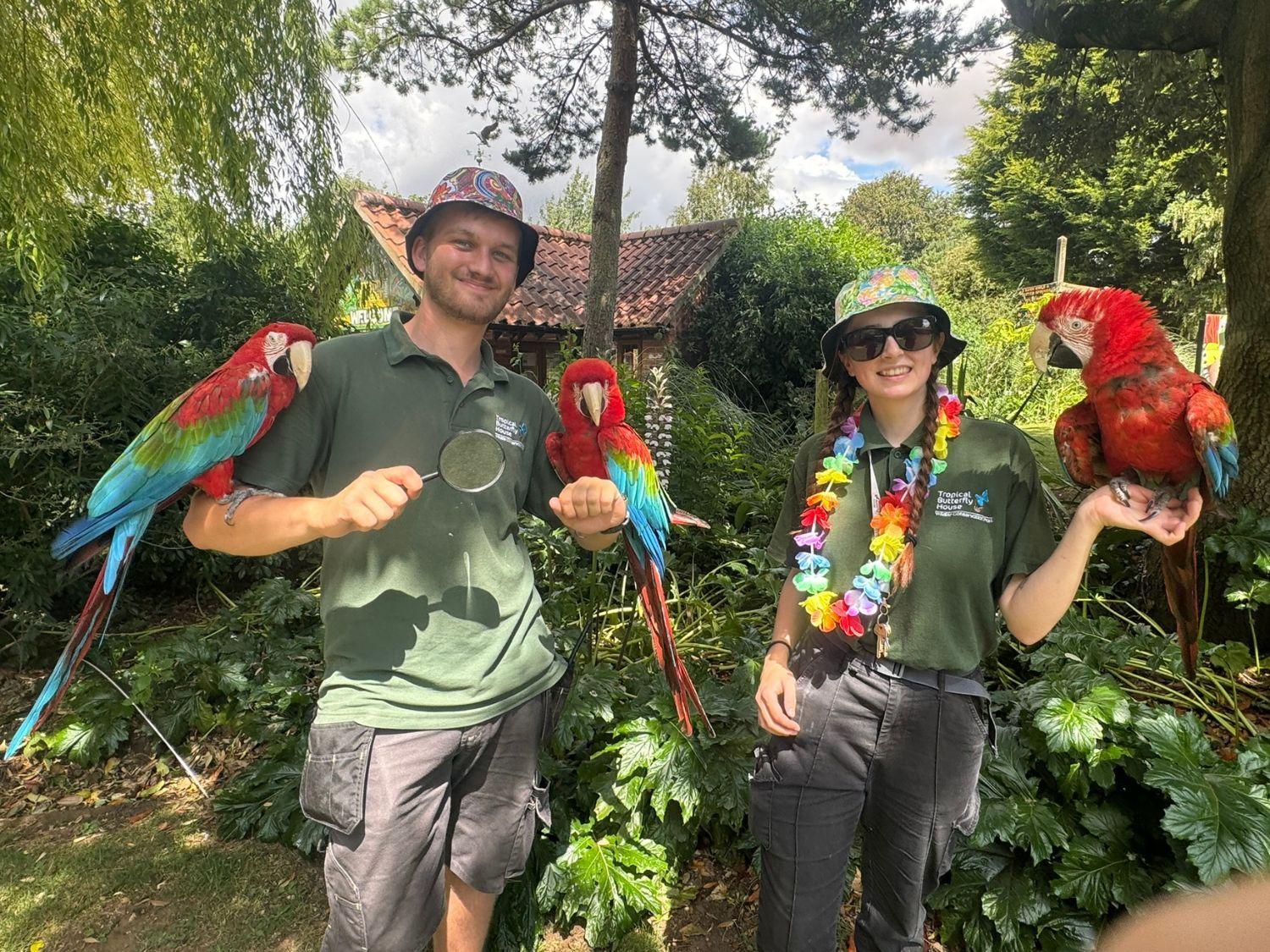 Follow the flutter, swing and squawk along the Tropical Treasures trail