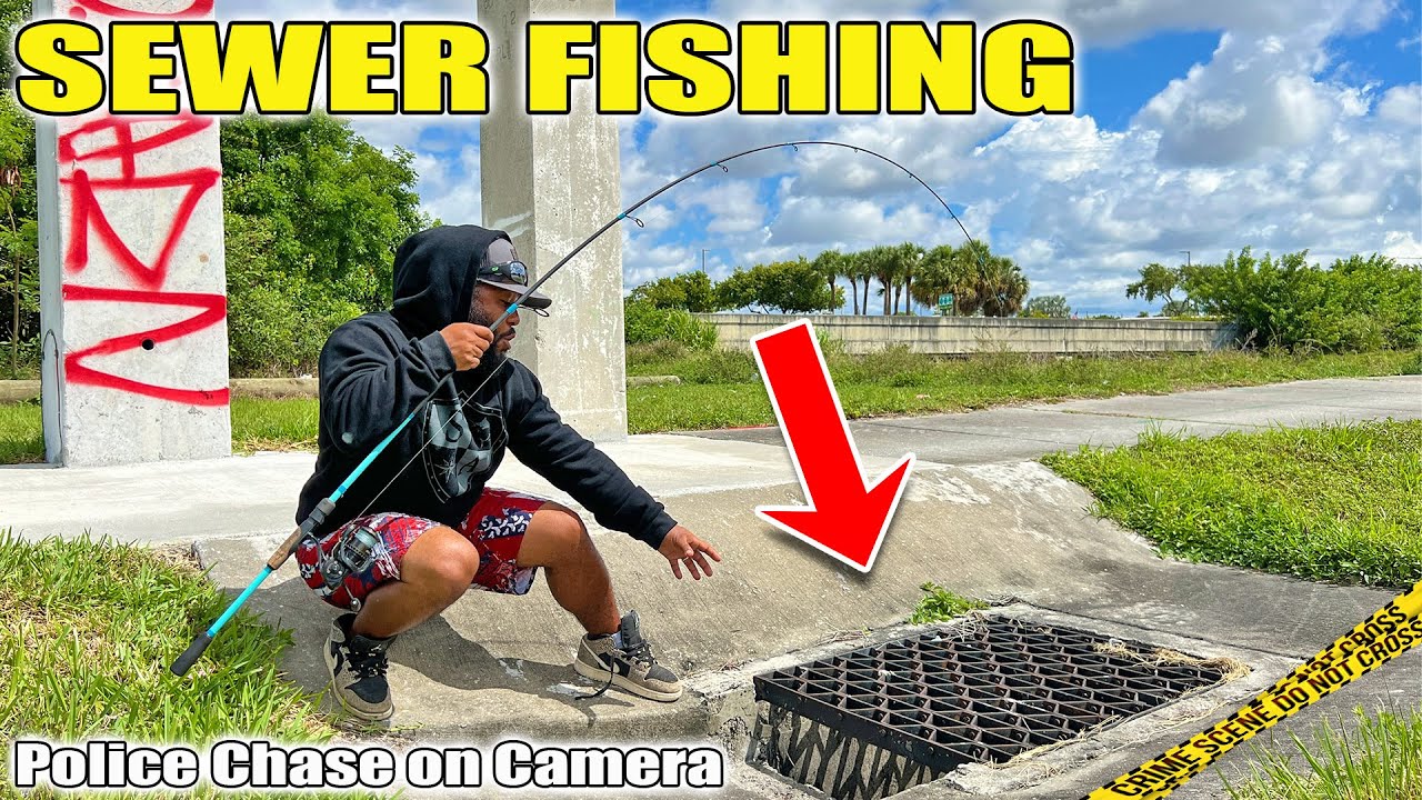 A Sewer Full of Aquarium Fish? You Have to See This