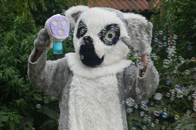 Follow the flutter, swing and squawk along the Tropical Treasures trail!