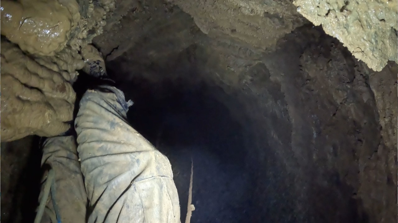 We Found a Bottomless Pit in a Random Forest Hole