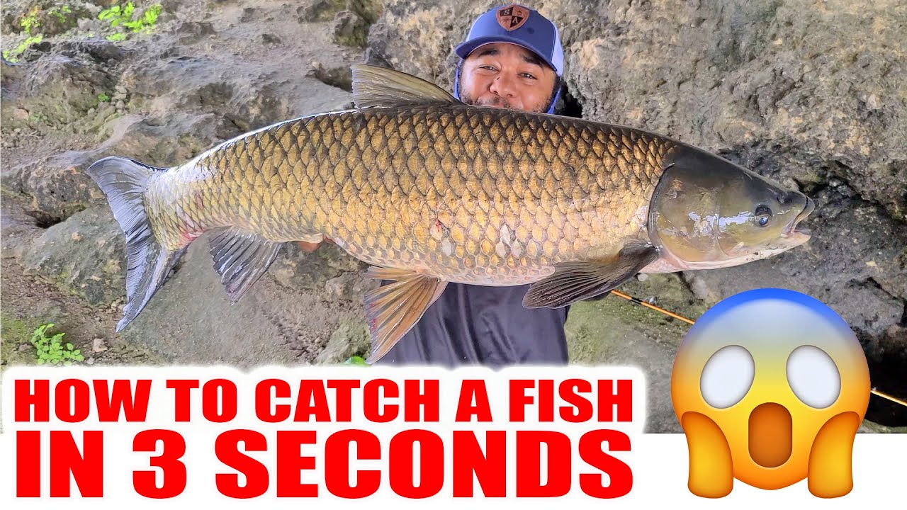 Catch a Fish in 3 Seconds?! Fastest Fishing Trick Ever