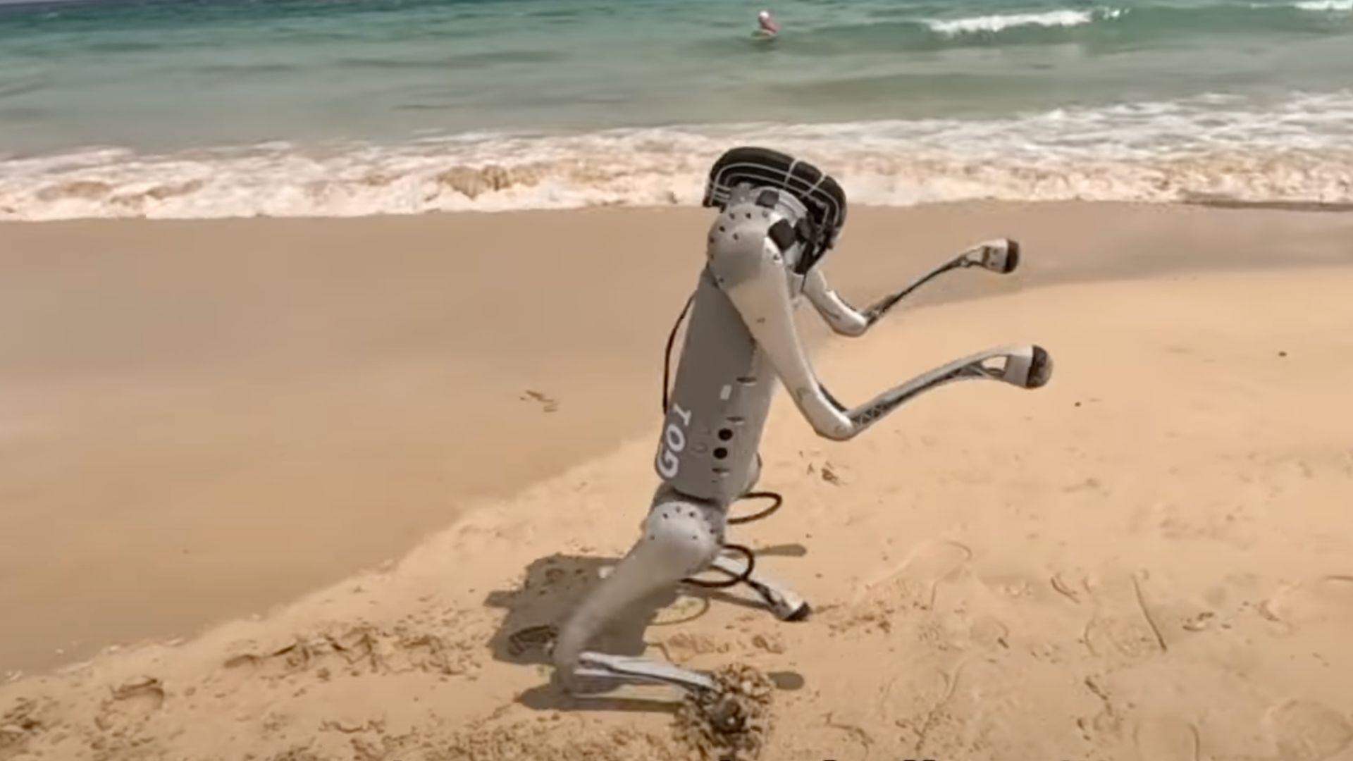 Video: Robot dog walks tough terrain with two legs, withstands kicks ...