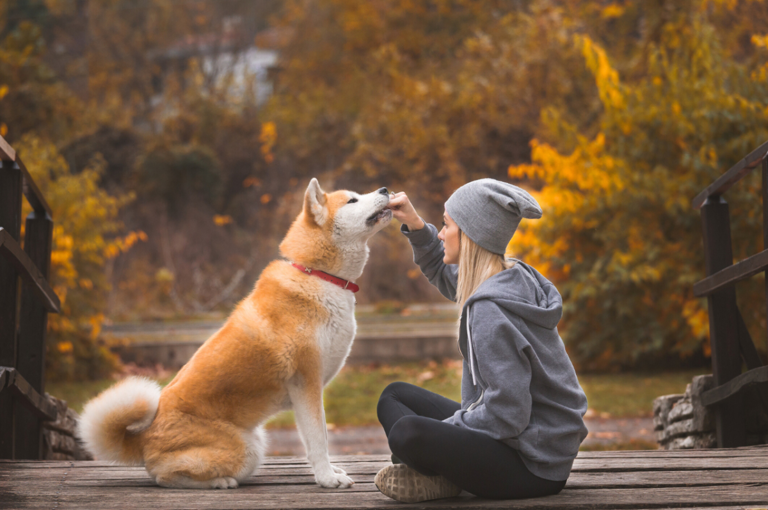 The 5 Most Loyal Dog Breeds of All Time—They'll Always Have Your Back