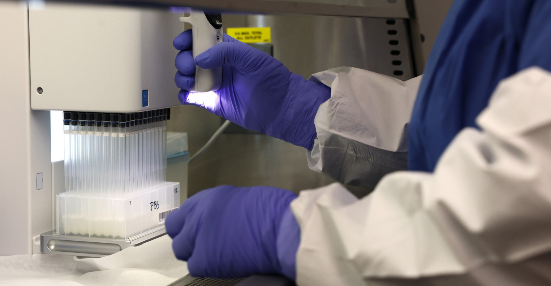 30 merkelige fakta du ikke visste om DNA