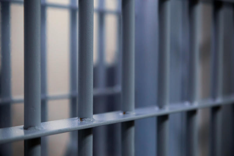 Former metro Atlanta Cub Scout leader gets prison time for trafficking ...