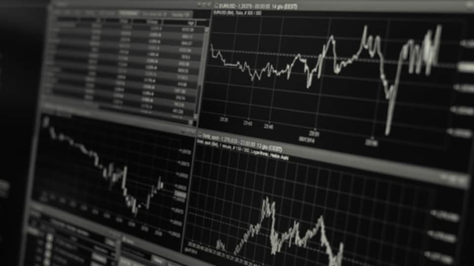 Hexagon Nutrition IPO: From financials to key risks — 10 key things to ...