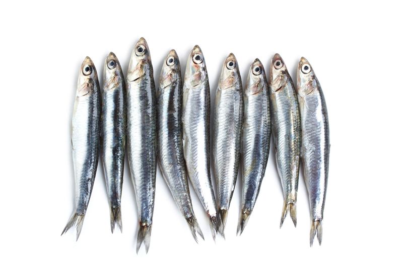 10 'Healthy' Foods Full Of Microplastics And How To Avoid Them