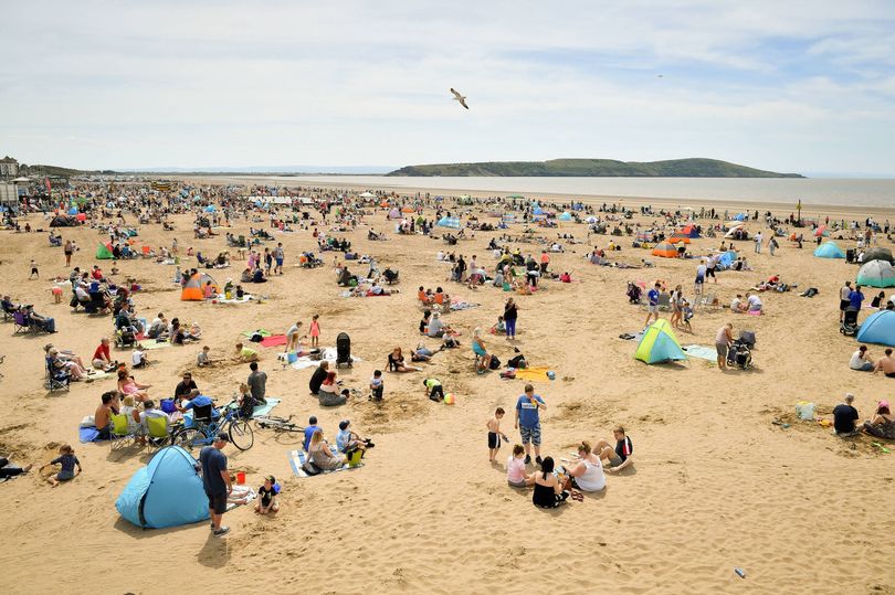 Seaside town insect invasion sees tourists suffer 'worst beach day ever'