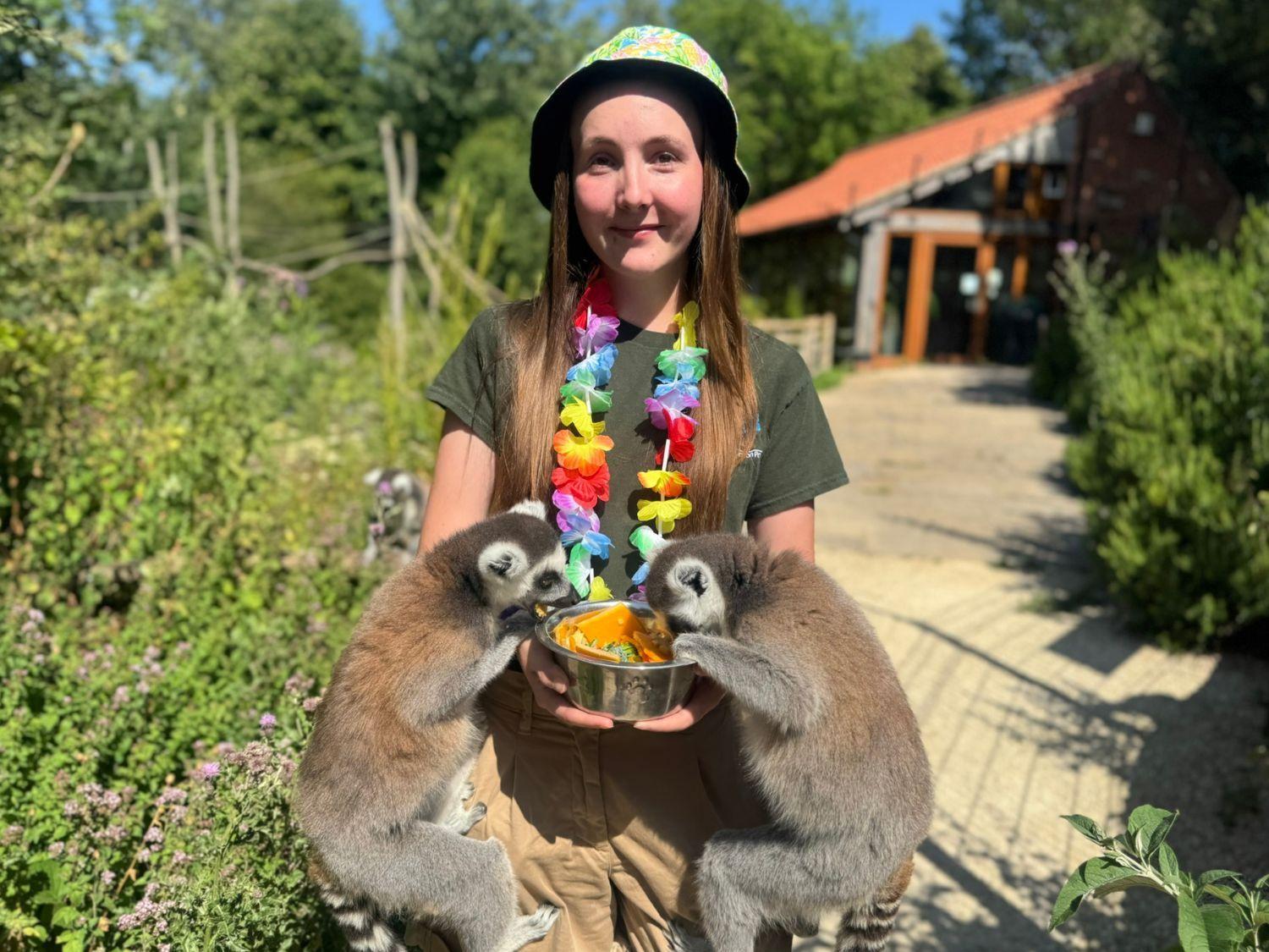 Follow the flutter, swing and squawk along the Tropical Treasures trail