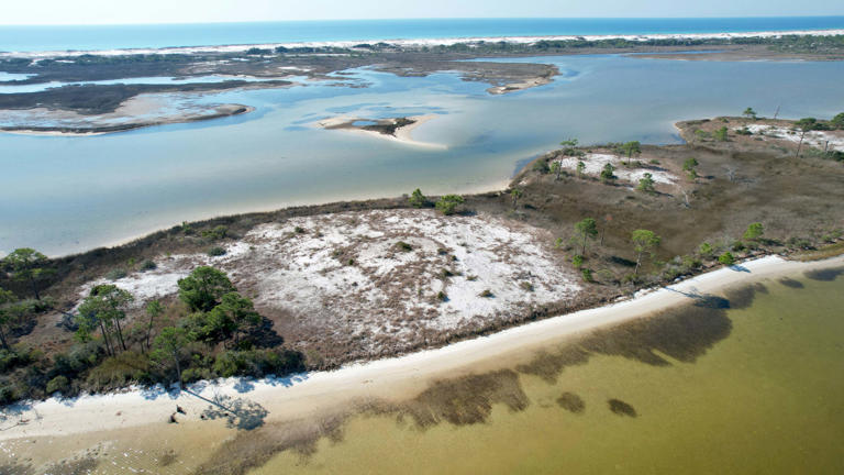 Top 5 camping spots in Okaloosa County