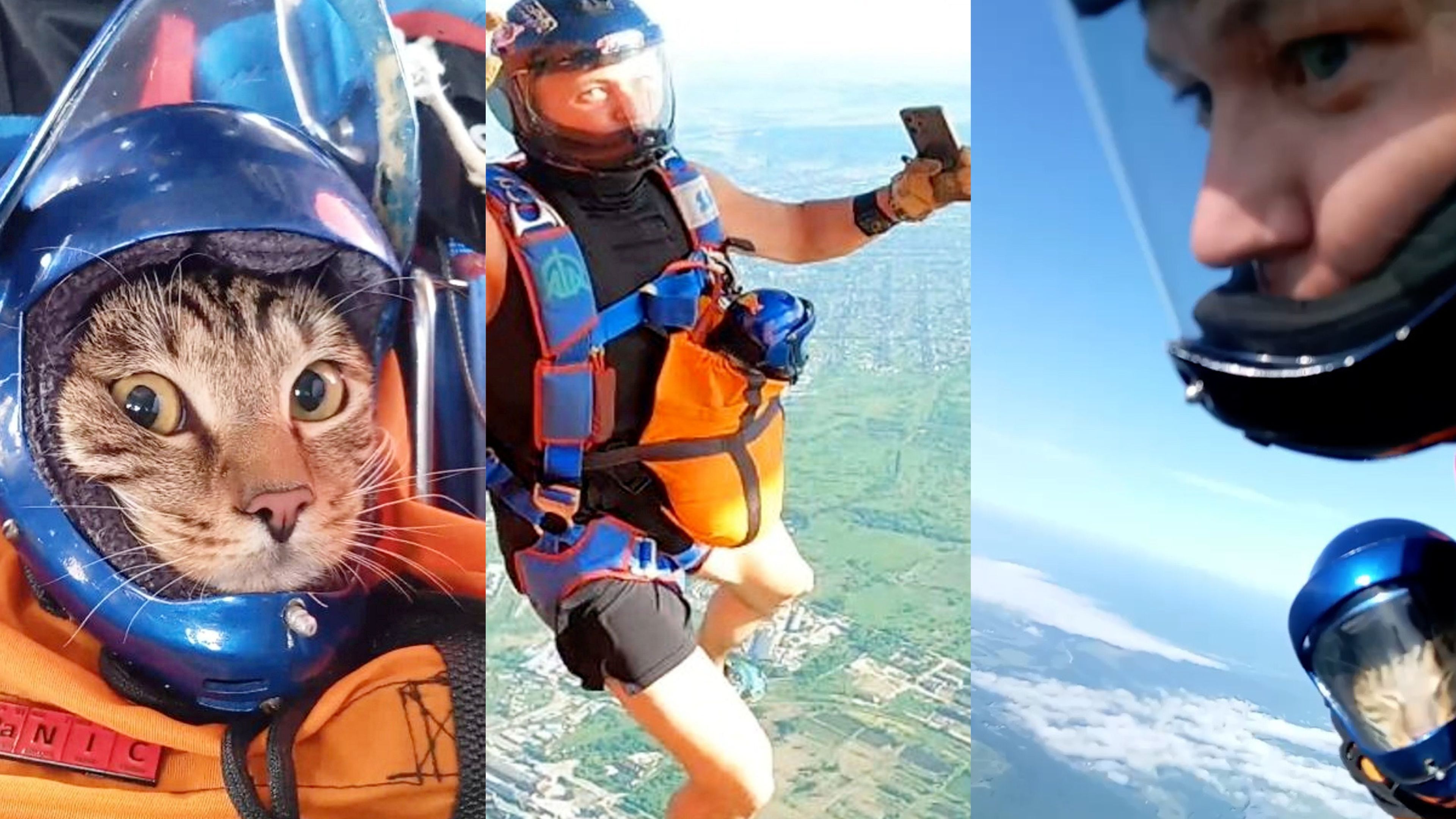 Katze springt mit ihrem Besitzer Fallschirm – mit eigenem Helm
