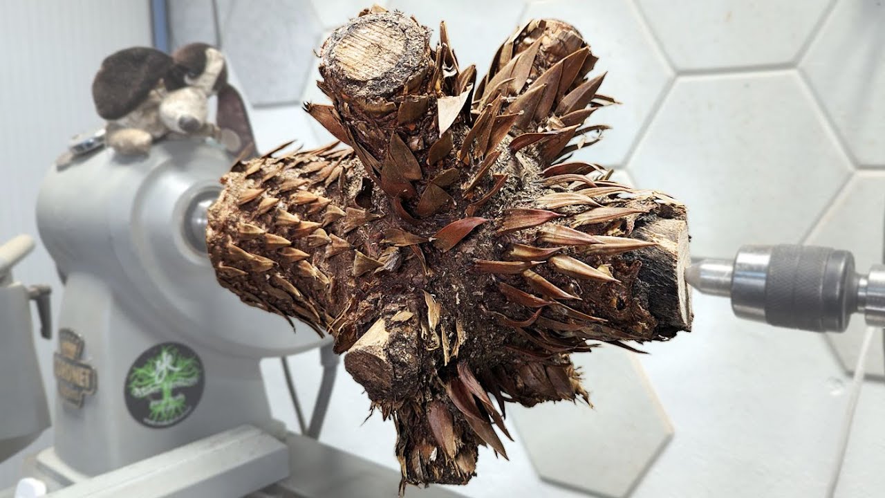 Monster woodturning – a battle with spikes