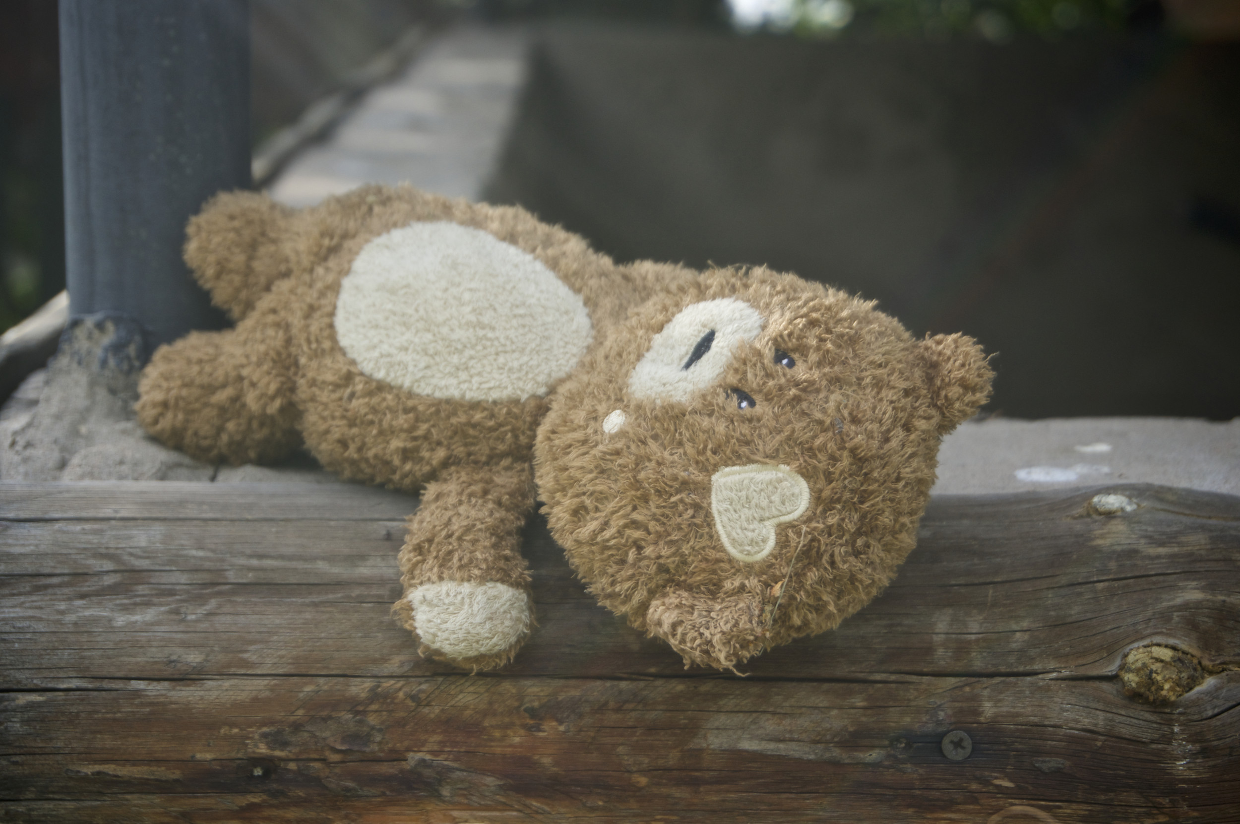 Teddy bear wrapped in 'human skin' discovered: What we know