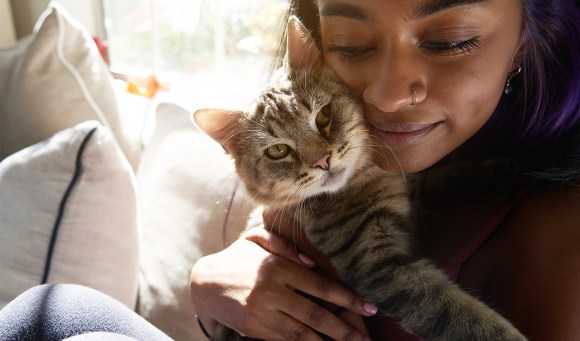 How Many Cats Is Too Many? Tips for Happy Multi-Cat Homes