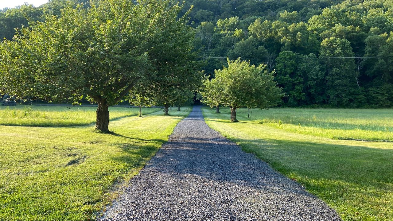 What to Know Before You Put a Driveway on Raw Land