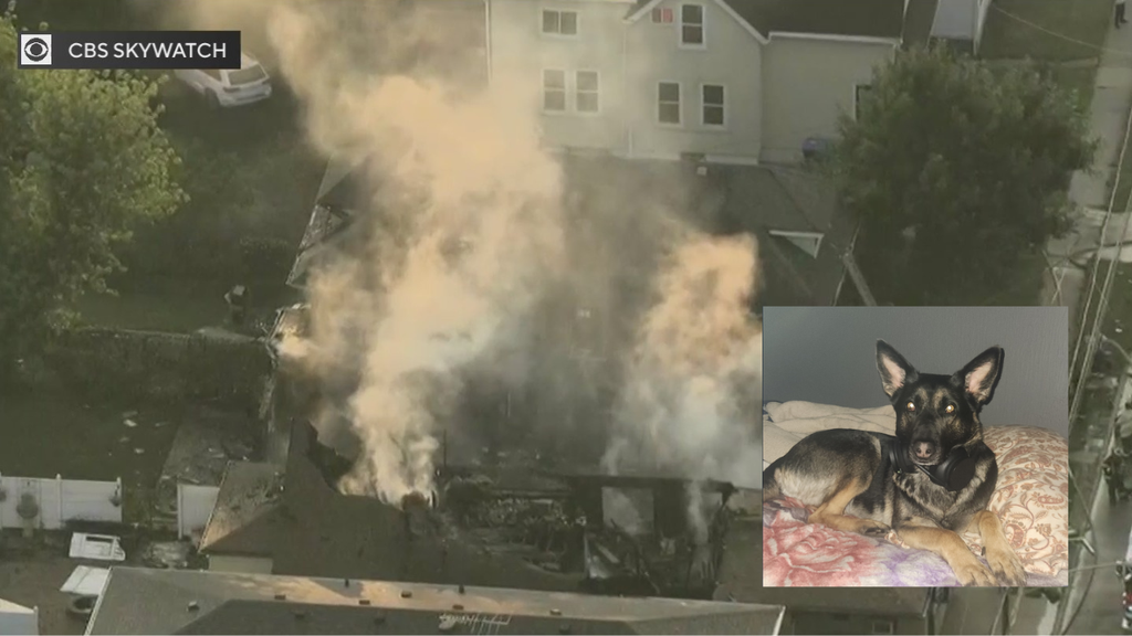 Blue Island, Illinois fire damages 3 homes, 1 business; 1 injured, dog ...