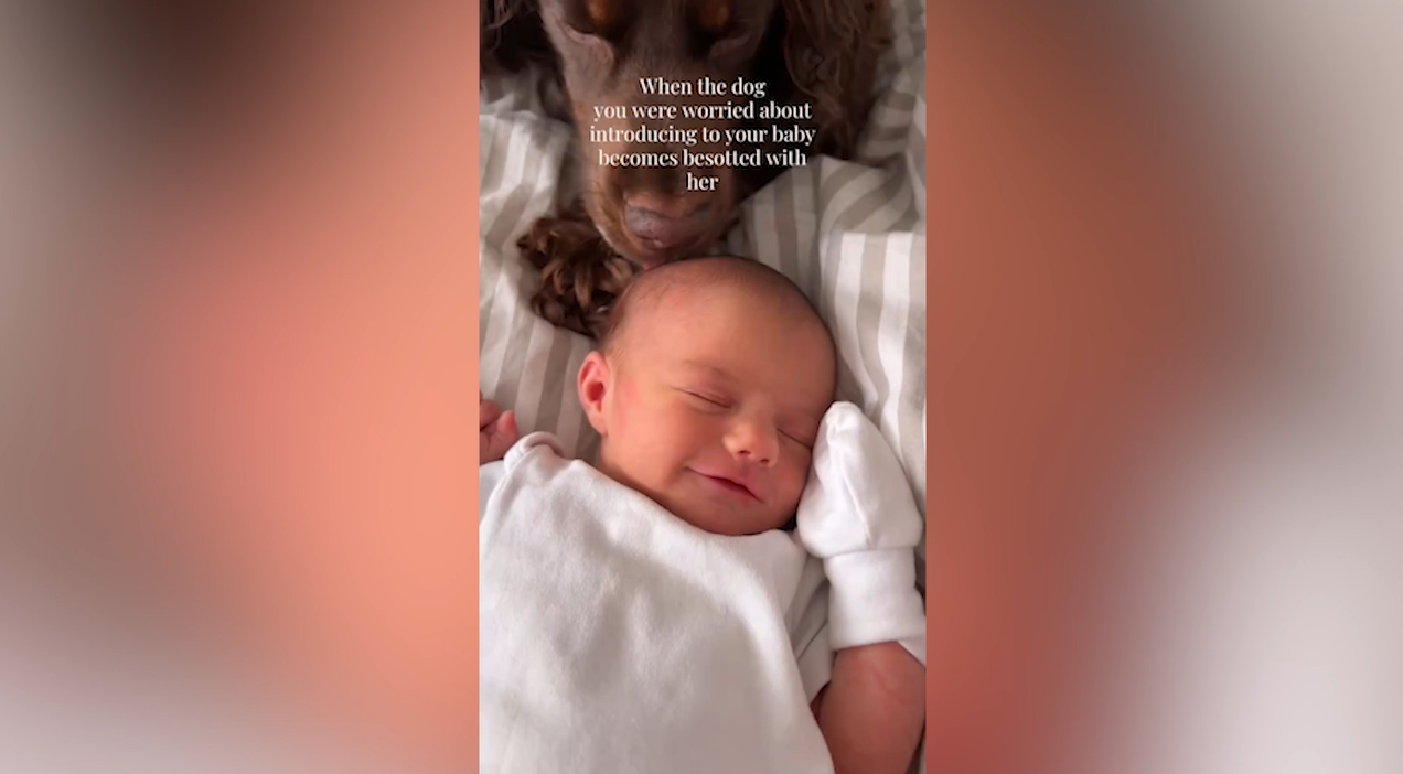 Mom ‘Worried’ About Introducing Dog To Baby—Not Ready For What Happens Next