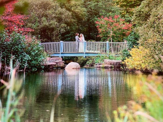 Iconic bridge at Webster Arboretum in disrepair and closed: How you can ...
