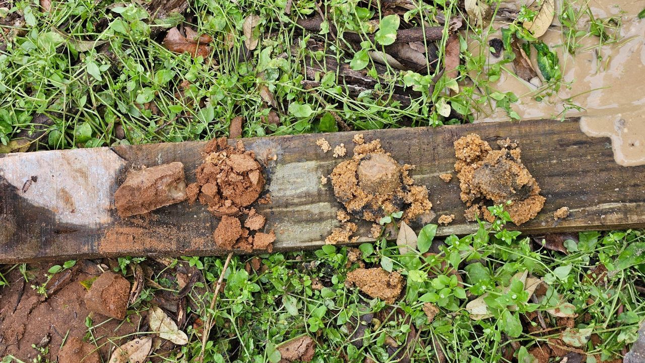 10 Things You Should Never Skip When Setting Up a Septic Tank