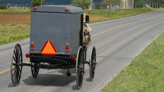 Passenger died from injuries after crash involving Amish buggy