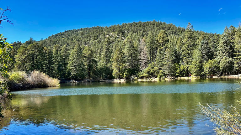 New Mexico's Captivating State Park Boasts A Lush Canyon With Riverside ...