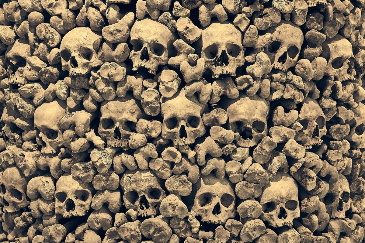 Ancient Human DNA Reveals Earliest Zoonotic Diseases Appeared 6,500 ...