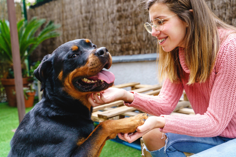The 5 Most Loyal Dog Breeds of All Time—They'll Always Have Your Back