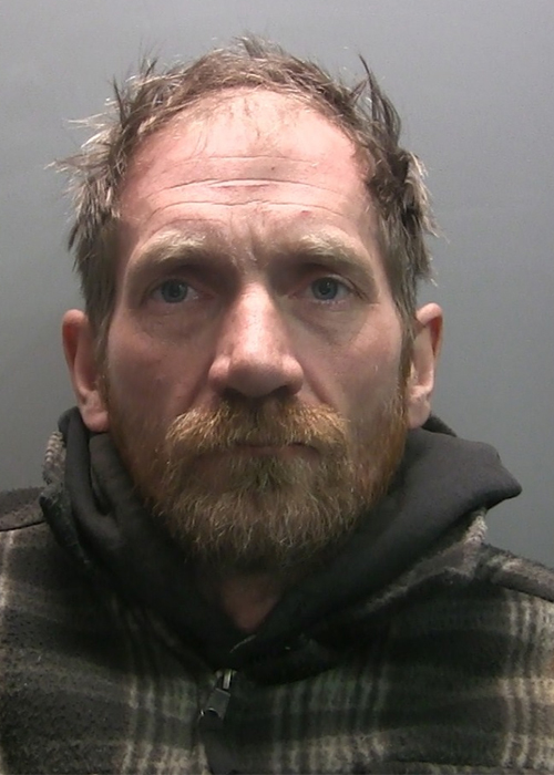 Man wrongly accused of felling Sycamore Gap tree wore ‘Rod Stewart wig ...